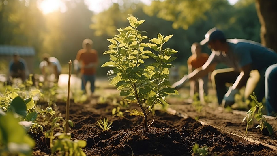 About Calix | Learn More About Calix | Calix Company